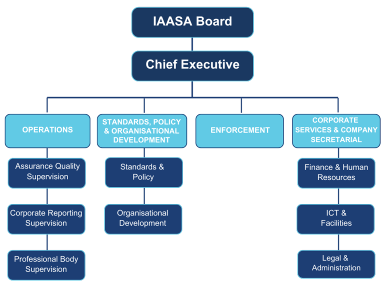 Organisational Structure - IAASA